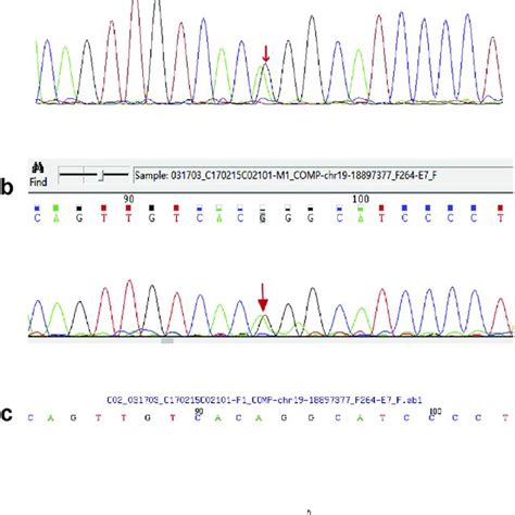Sift Prediction Prediction Of The Protein Function Can Be More