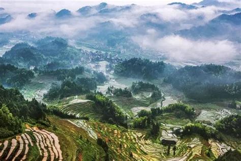 紫鹊界梯田景区游玩攻略 附门票价格及最佳观赏时间 旅泊网