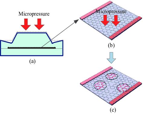 Schematic Diagram Of Working Principle Of Tactile Sensor A Schematic