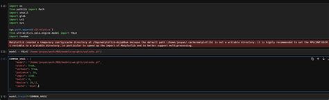 Ddp Yolov8 Cls Training Bug · Issue 2927 · Ultralyticsultralytics · Github