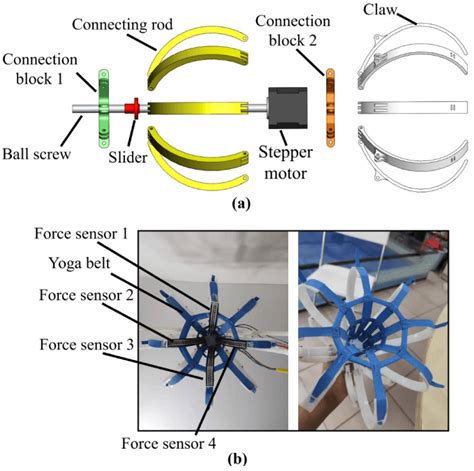 Iii Bio Inspired Soft Robotic Grippers And Manipulators Xingwen Zheng Research Group Zhejiang