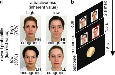 Experimental Task And Design A Experimental Design Matrix Hh And Ll