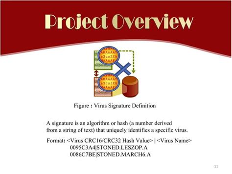 Signature Based Virus Detection And Protection System Ppt