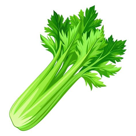 Celery Clipart Vector Illustration Premium AI Generated Vector