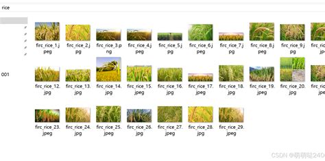 智慧农业农作物识别分类数据集829张30类别农作物分类数据集 Csdn博客