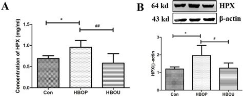 Enzyme Linked Immunosorbent Assay Elisa And Western Blot Wb Download Scientific Diagram
