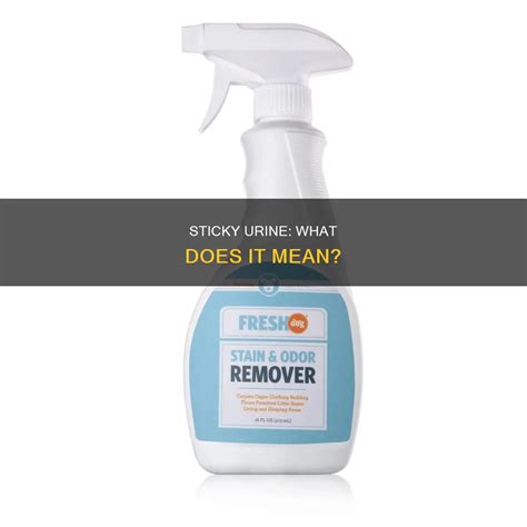 Sticky Urine What Does It Mean Medshun