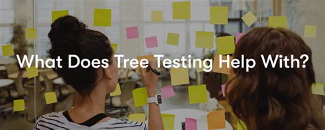 What Is Tree Testing For UX Purple Griffon