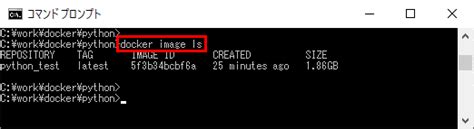 pythonのdockerイメージでpythonプログラムを実行してみた｜itエンジニアとして経験・学習したこと