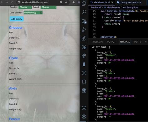 Dina Fine On Linkedin Backend Api Sql Database Frontend