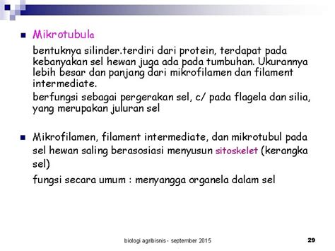 Struktur Dan Fungsi Sel Pada Tumbuhan Dan Hewan