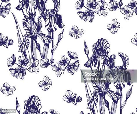 벡터 아이리스 꽃 완벽 한 패턴입니다 손으로 그린 잉크 그림입니다 벽지 또는 직물 디자인 벡터 일러스트 개성 개념에 대한 스톡 벡터 아트 및 기타 이미지 Istock