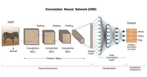 Understanding Convolutional Neural Networks A Simplified Guide 10