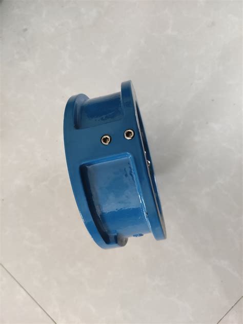 Ductile Cast Iron Wafer Type Dual Plate Double Door Check Valves Non Reture Valve Water Valve