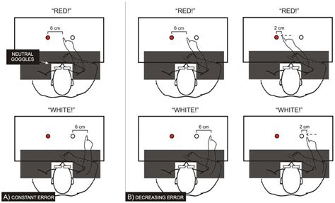 Procedure Of The Experiment 2 Each Participant Observes Incorrect