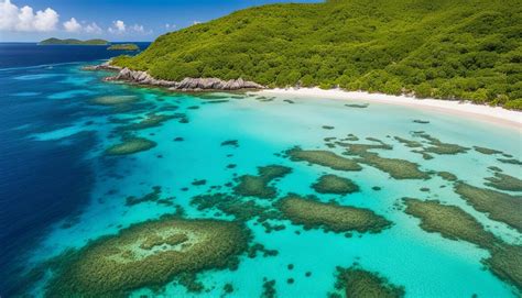 Saint Vincent And The Grenadines Sacred Natural Sites And Biodiversity