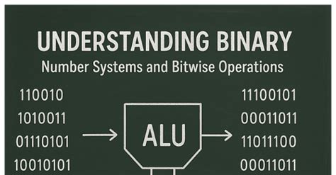binary numbers and bitwise operations for assembly programming