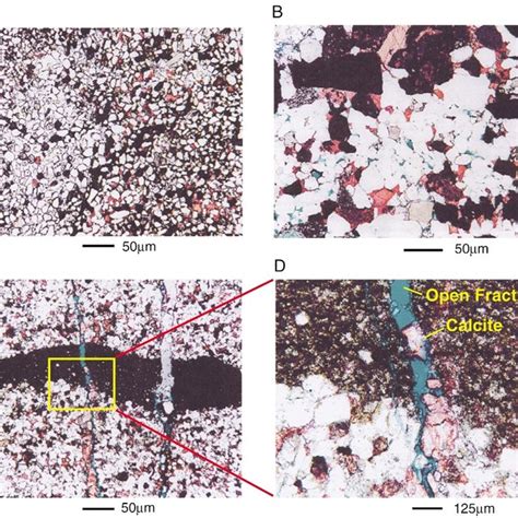 Surface Seismic Locations And Rose Diagram Showing Outcrop Fracture Download Scientific Diagram