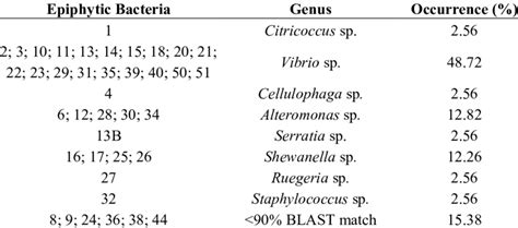 The Identification Of Epiphytic Bacteria Isolated From Bifurcaria
