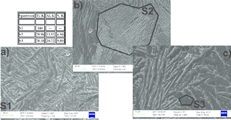 Sem Micrographs Showing Typical Solidification Microstructures Of Clad Download Scientific