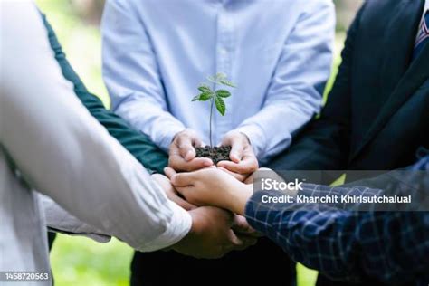 사업가와 지역 사회는 지속 가능한 개발 목표를 위해 함께 나무를 심습니다 녹지 회사의 환경과 생태계를 생각하는 기업 또는 기업 지속 가능한 자원에 대한 스톡 사진 및 기타