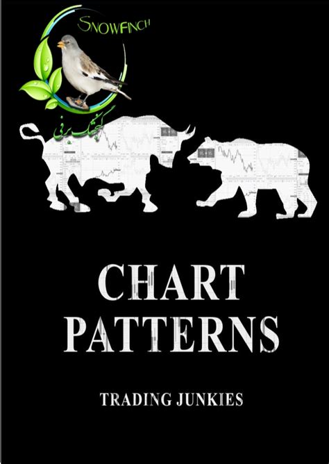 دانلود کتاب Chart Patterns Trading Junkies ترجمه فارسی گنجشک برفی