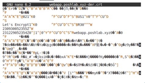 Converting Certificates From Crt To Pem Format Theitbros