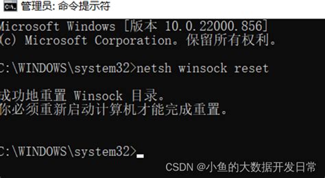 win10误删注册表winsock和winsock2导致wifi显示无internet怎么解决 winsock和winsock2恢复 csdn博客