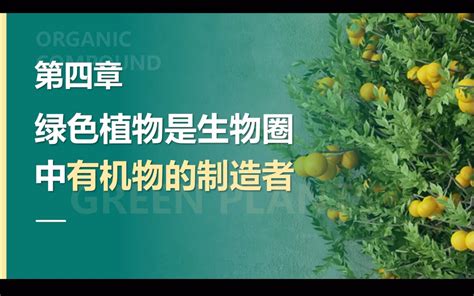 七上《光合作用》 哔哩哔哩