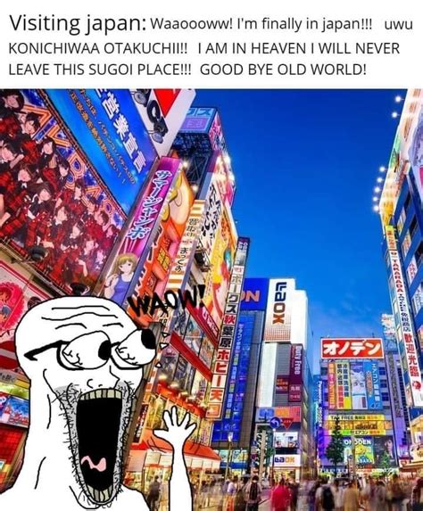 Japanese Tourist Meme 49 Photos