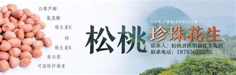 六月六松桃苗族情人節這撥操作可有甜到你 每日頭條