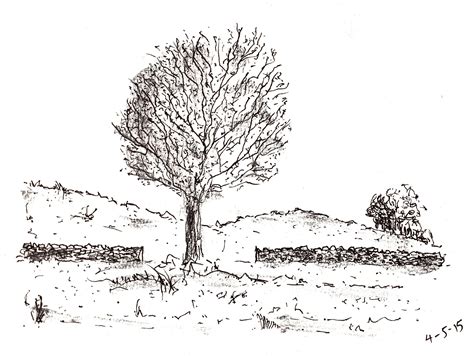 A Pencil Drawing Of A Tree In The Middle Of A Field With Rocks And Trees