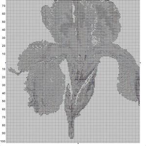 Iris Flower Cross Stitch Pattern 3 Instant PDF Download Purple Flowers Watercolor Cross Stitch