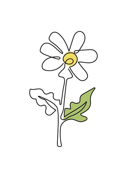 Premium Vector Chamomile A Flower