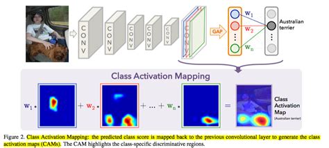Learning Deep Features For Discriminative Localization