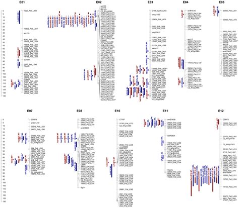 Qtl Location Only Chromosomes Harboring Qtl Are Shown The Scale
