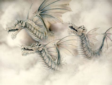 About Dragons The History Of Dragons And Much More Dragon Photos