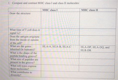 Solved Compare And Contrast MHC Class I And Class II Chegg Com