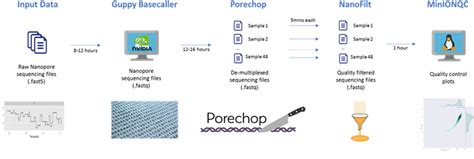 Figure From Nanopore Sequencing Data Analysis Using Microsoft Azure Cloud Computing Service