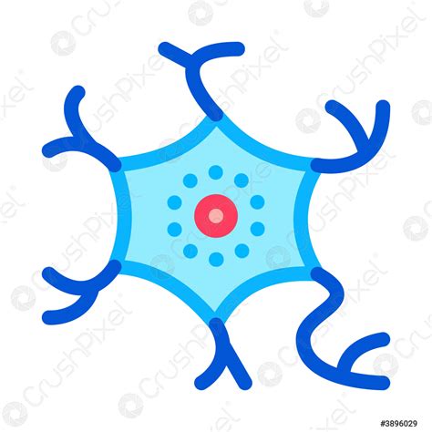 Human Body Cell Icon Vector Outline Illustration Stock Vector 3896029