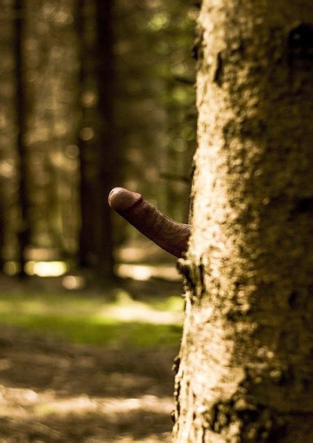 Photo Art Shots Page 52 Lpsg