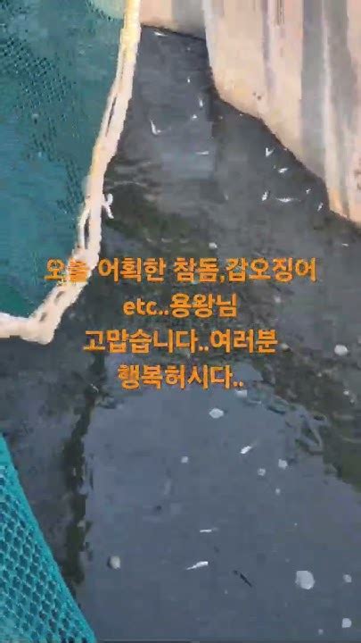 이른 아침 바다 나가기어장 잘 관리 해서 용왕님이 주신 선물 남해중년어부 남해 여행 바다 앵강만 행복허시다