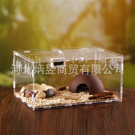 拼装款亚克力饲养箱 爬宠蜈蚣角蛙龟蜗牛饲养盒塑料透明亚克力盒 阿里巴巴