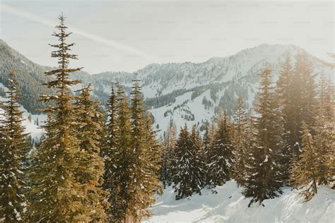 눈 덮인 표면에서 스키를 타는 사람 사진 Unsplash의 배경 이미지