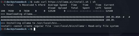 File System Is Read Only Error When Using Curl R SteamDeck