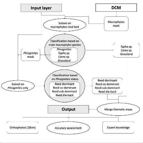 8 Workflow Of The Classification Scheme Developed Through Iterative Download Scientific