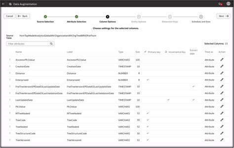 setting up data security in oracle fusion hcm analytics with organization hierarchy area of