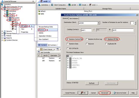 Advanced Oracle Idataagent Restore