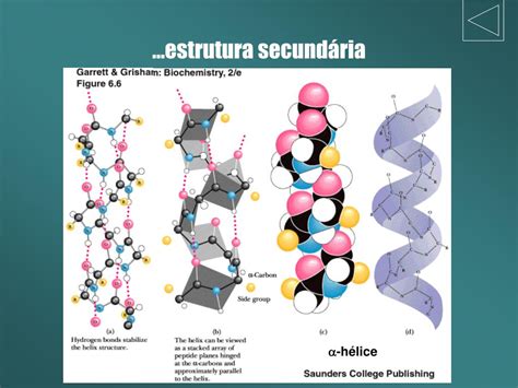 Ppt Compostos Carbonilados Ii Powerpoint Presentation Free Download