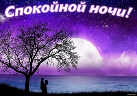 Романтичные картинки спокойной ночи любимому мужчине